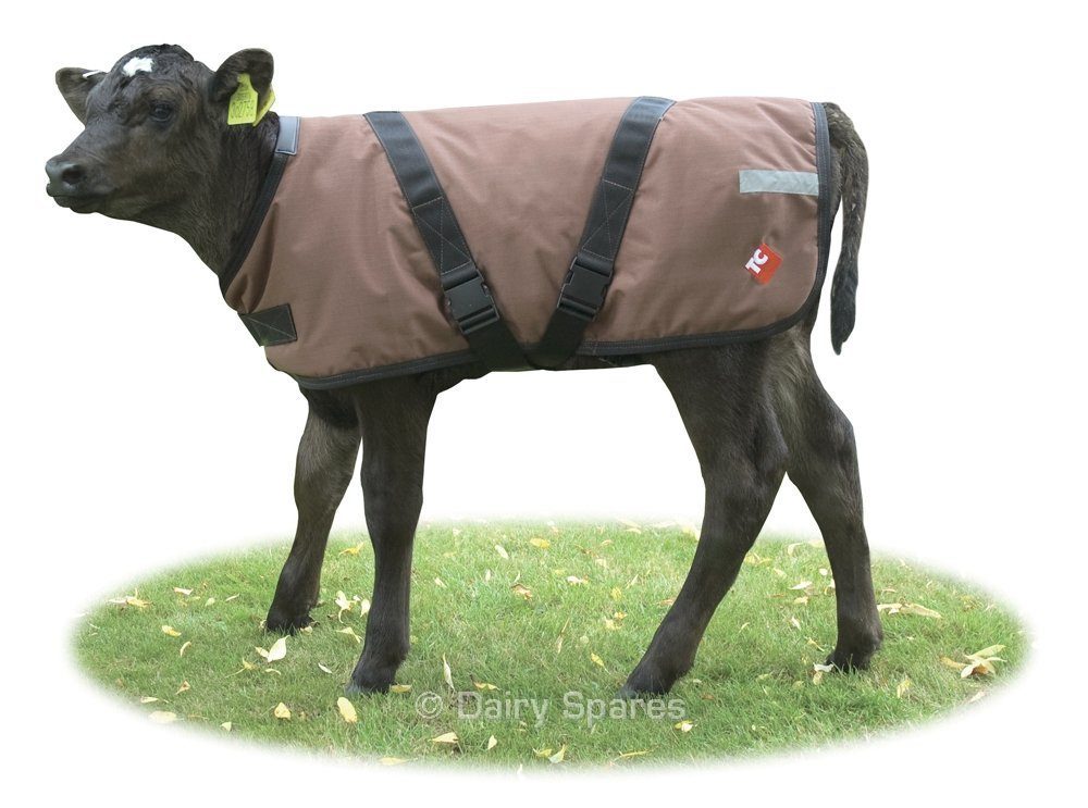 TOUGH COVER CALF COAT PREMIUM - Dairy Spares