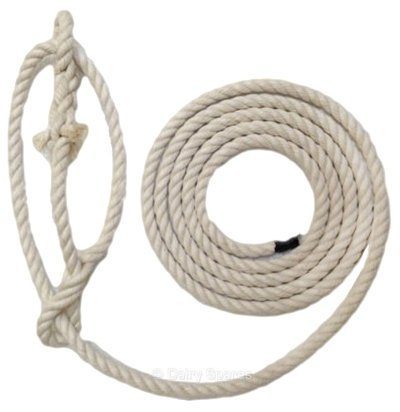 Sheep Halter Best Cotton - HA05 - Dairy Spares