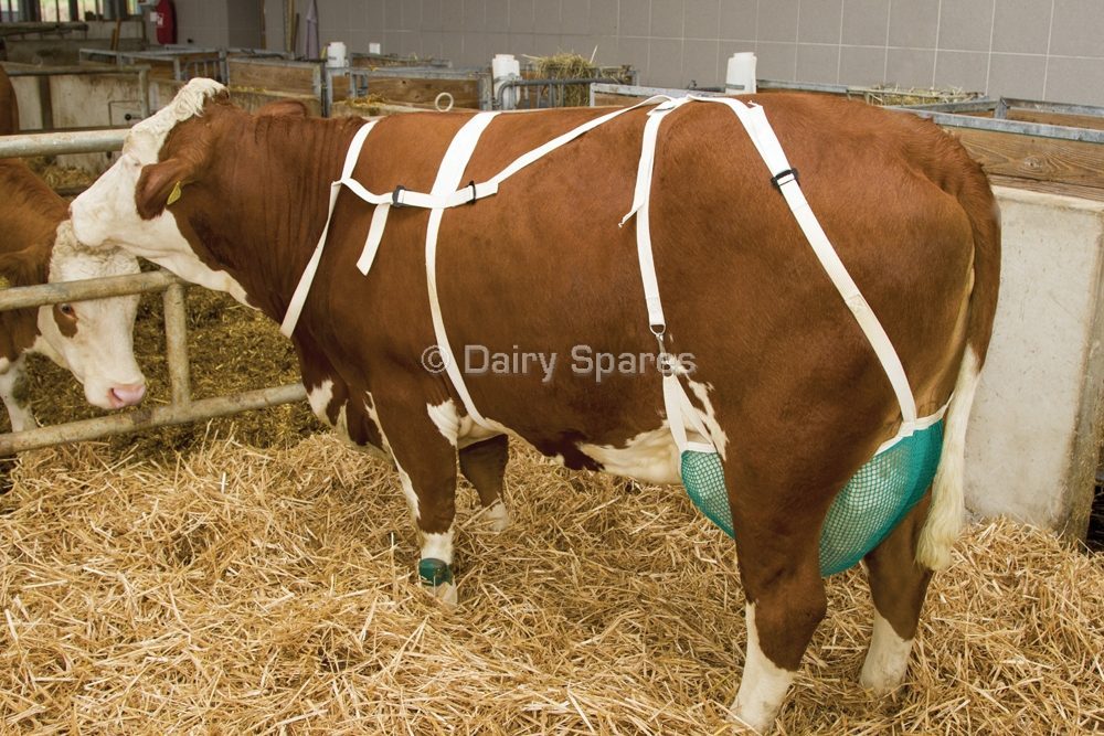 UDDER SUPPORT - Dairy Spares